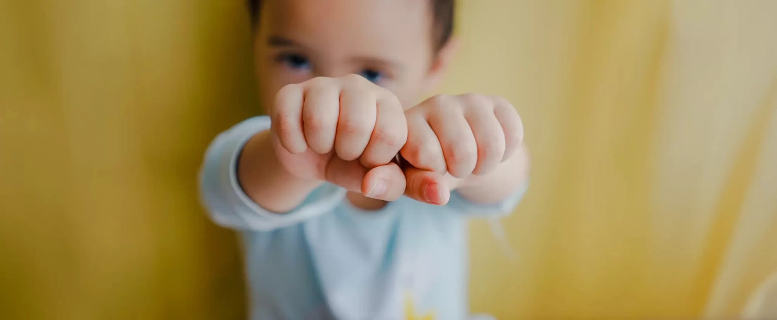 9 Toddler Aggression Fixes That Help with Biting, and Meltdowns